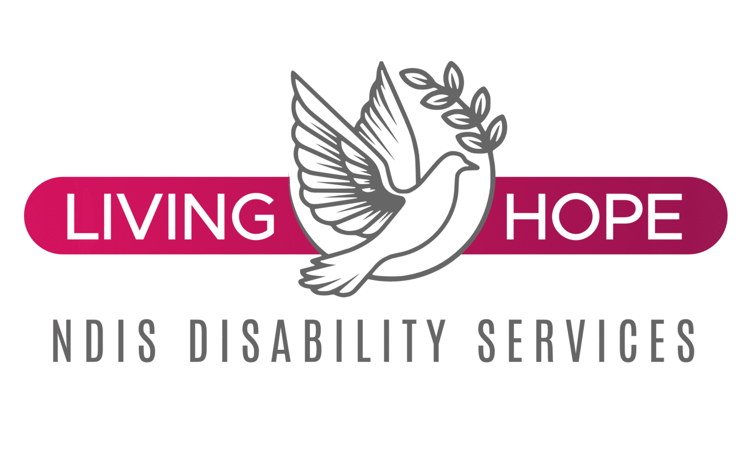 NDIS Disability Support Services, NDIS Service Provider in Perth